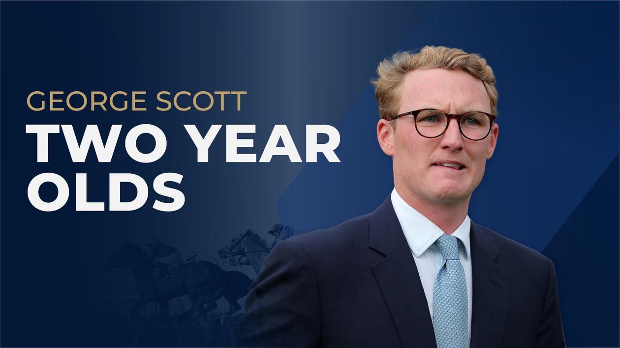 Dan Briden Two-Year-Old Guide: George Scott