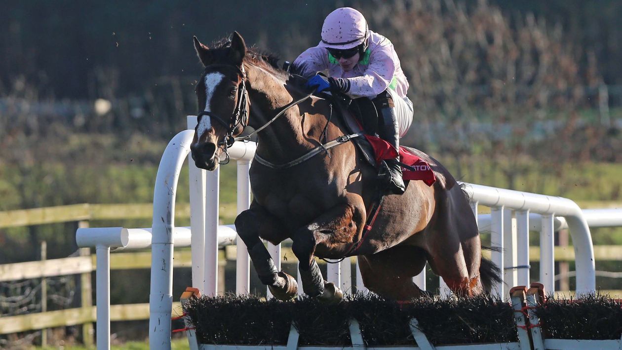 Watch Willie Mullins' Sky Bet Moscow Flyer Novice Hurdle winners
