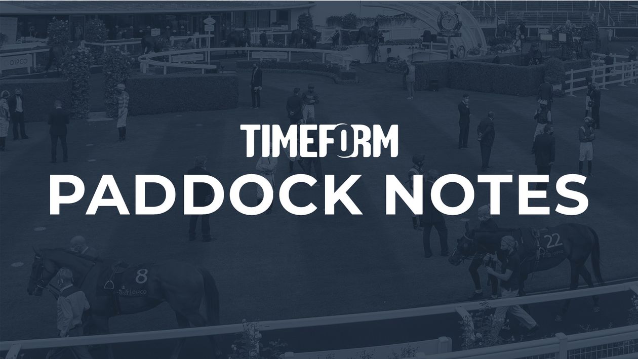 Timeform Paddock Notes: Horses to follow from Newmarket and Newbury