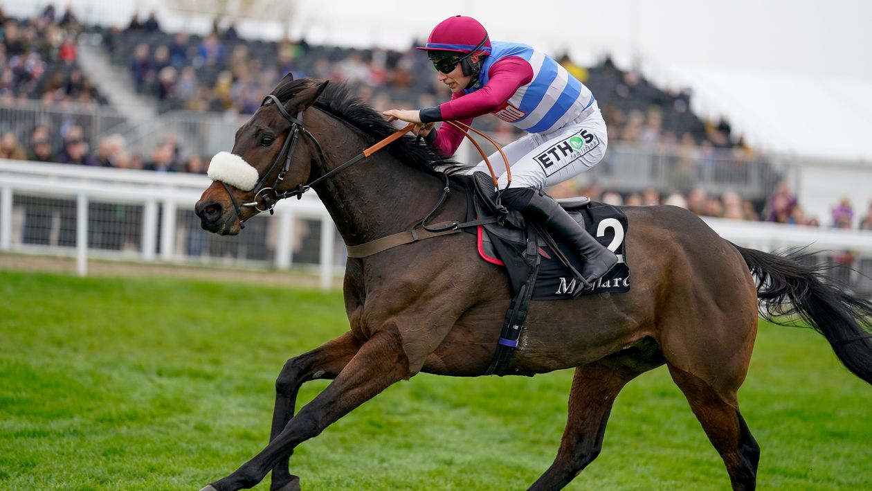 Max McNeill on Threeunderthrufive ahead of the Coral Gold Cup at Newbury