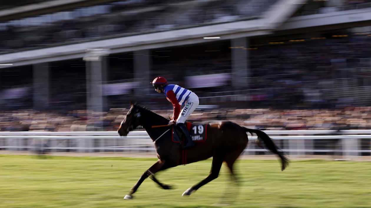 Max McNeill: My Five to Follow ahead of 2024/25 Jumps Season