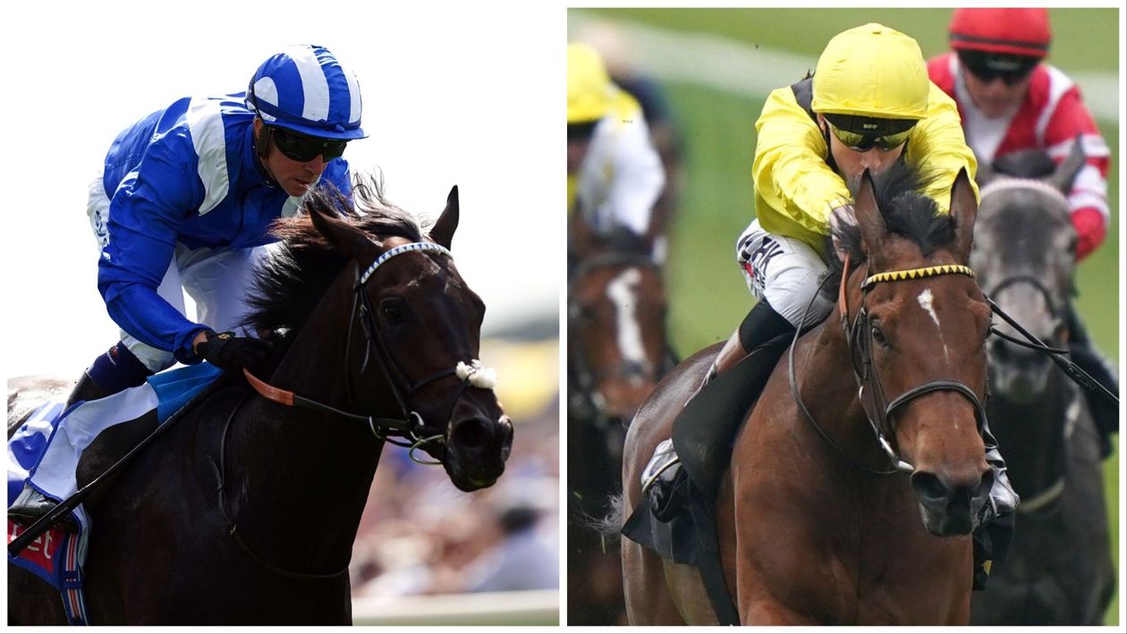 Saturday horse racing analysis: Horses to follow – five interesting ...