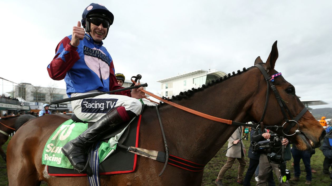 Exciting time for Paisley Park's owner Andrew Gemmell ahead of Newbury ...