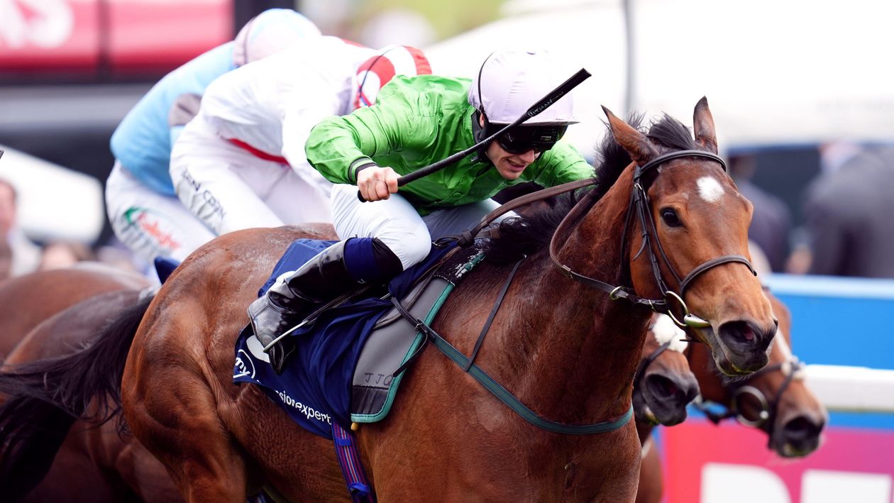 Dan Briden Two-Year-Old Guide: Jack Conroy