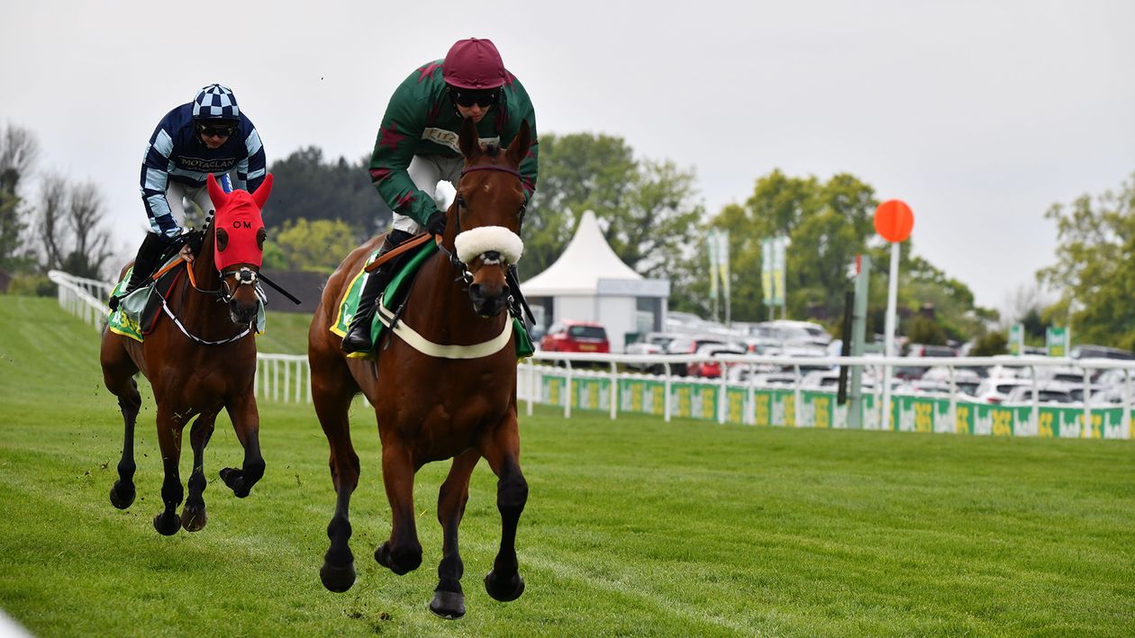 Exciting entries for Showcase Meeting at Cheltenham