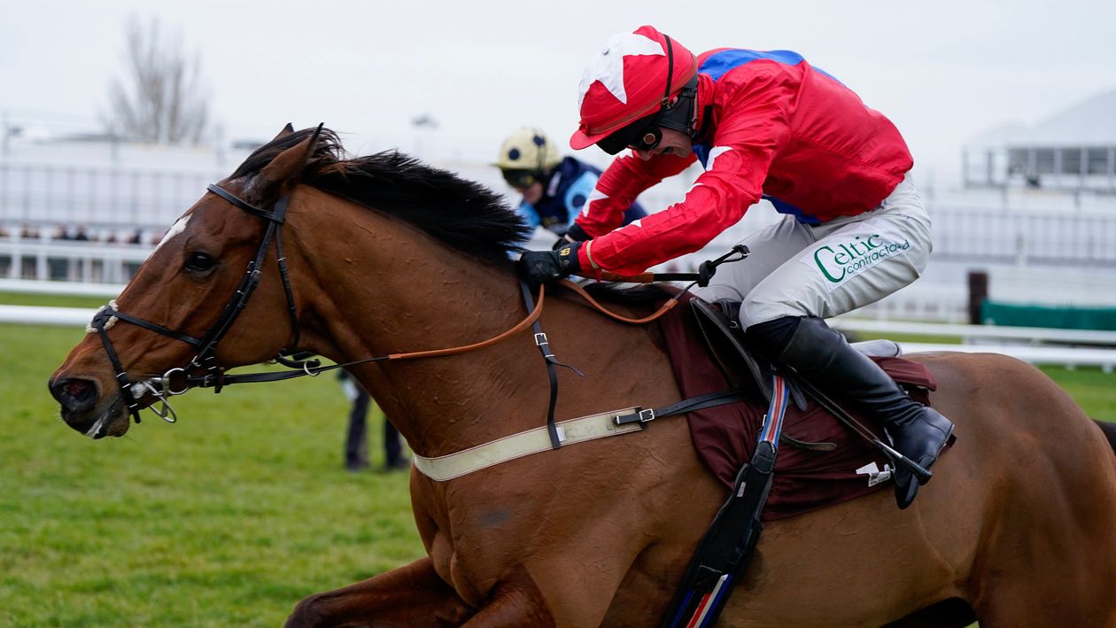 Gary Moore rates Editeur Du Gite a worthy Champion Chase contender
