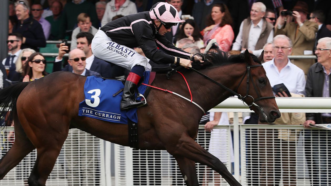 Curragh review: Fozzy Stack juvenile takes command