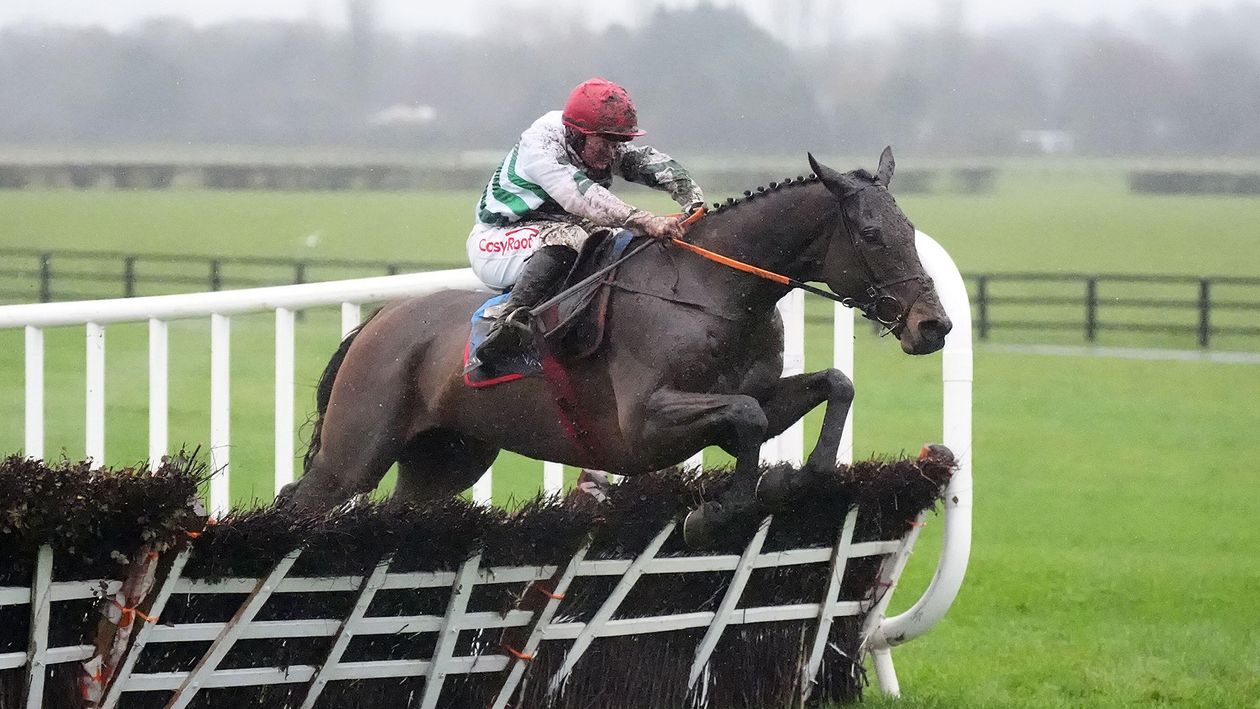 Lawlor's Of Naas Novice Hurdle report and reaction: The Yellow Clay ...