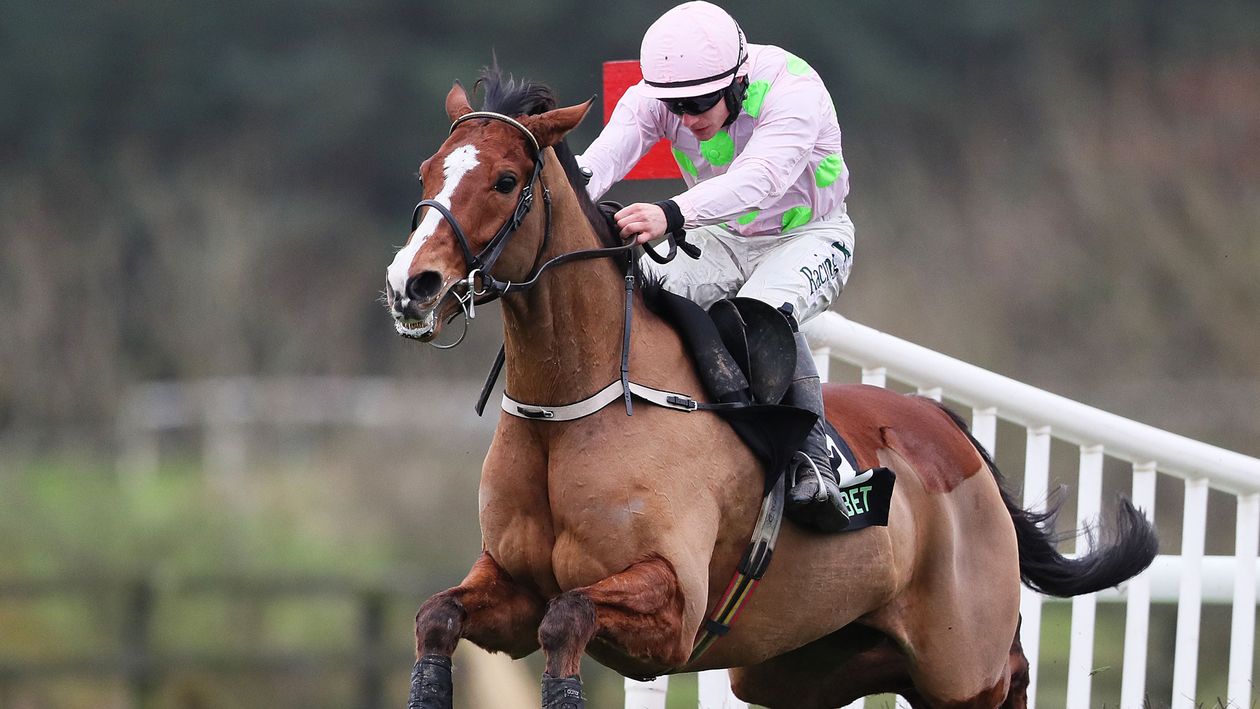 Mullins happy with Faugheen progress ahead of Irish Champion Hurdle