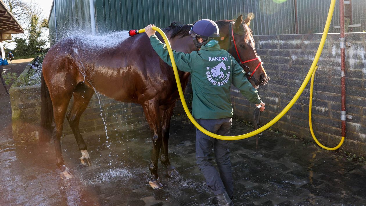 Henry de Bromhead: Stable Stars including A Plus Tard, Envoi Allen ...