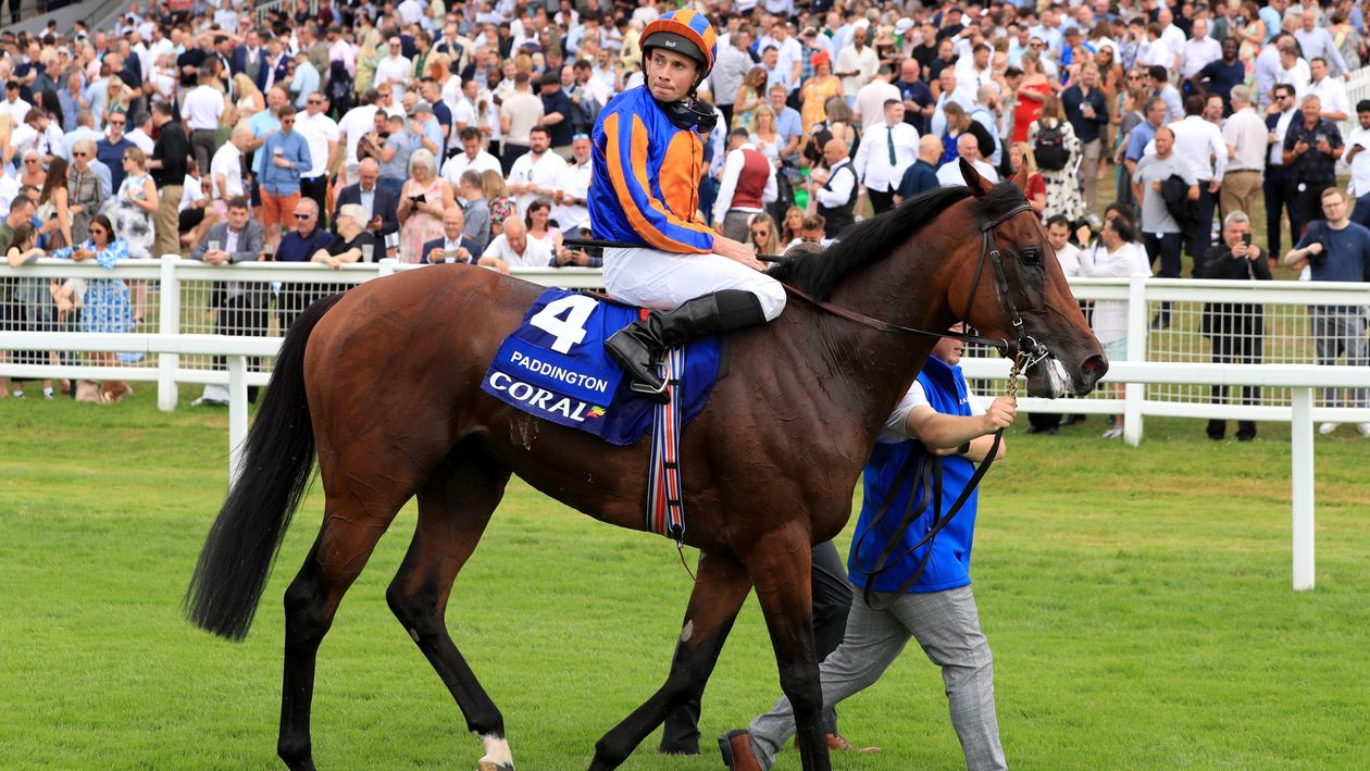 Goodwood Wednesday preview: David Ord on the Qatar Sussex Stakes