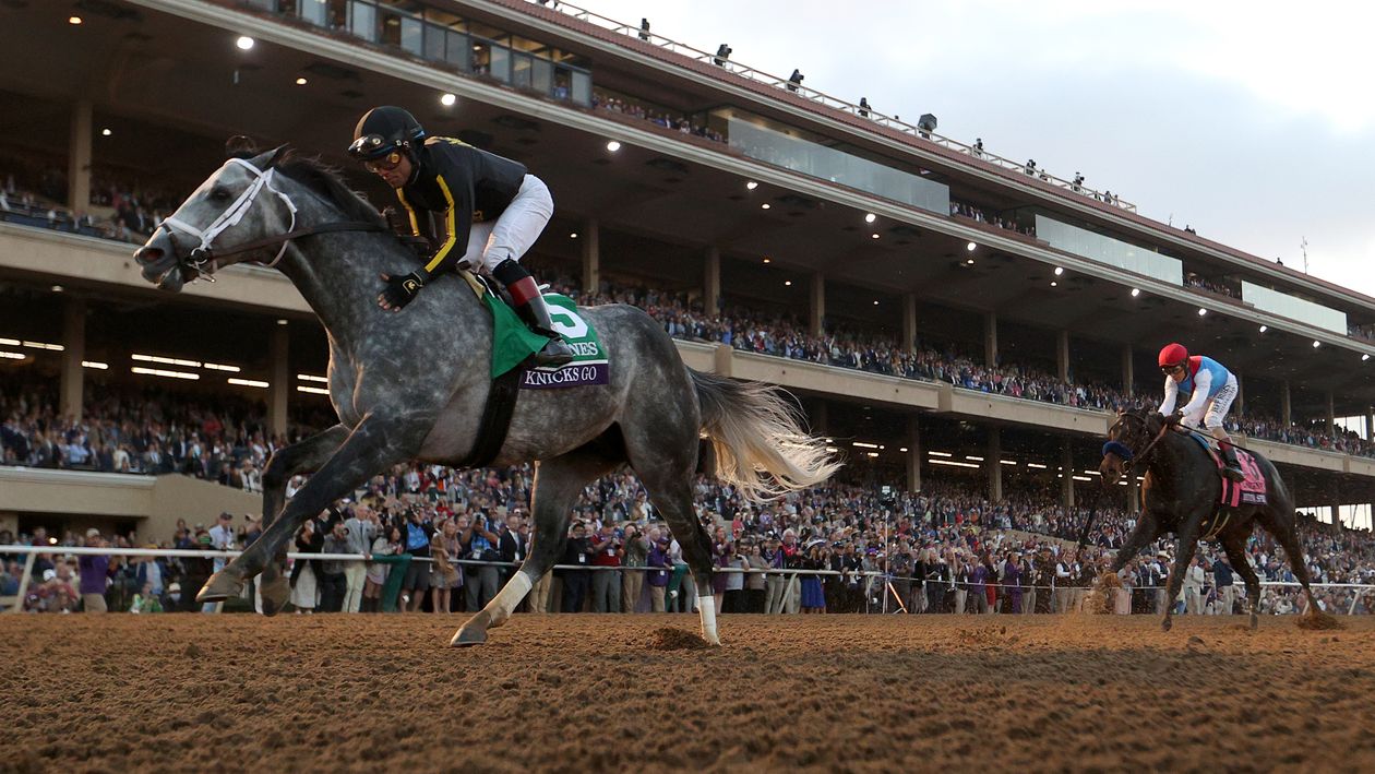 Longines World’s Best Racehorse: Knicks Go lands top award