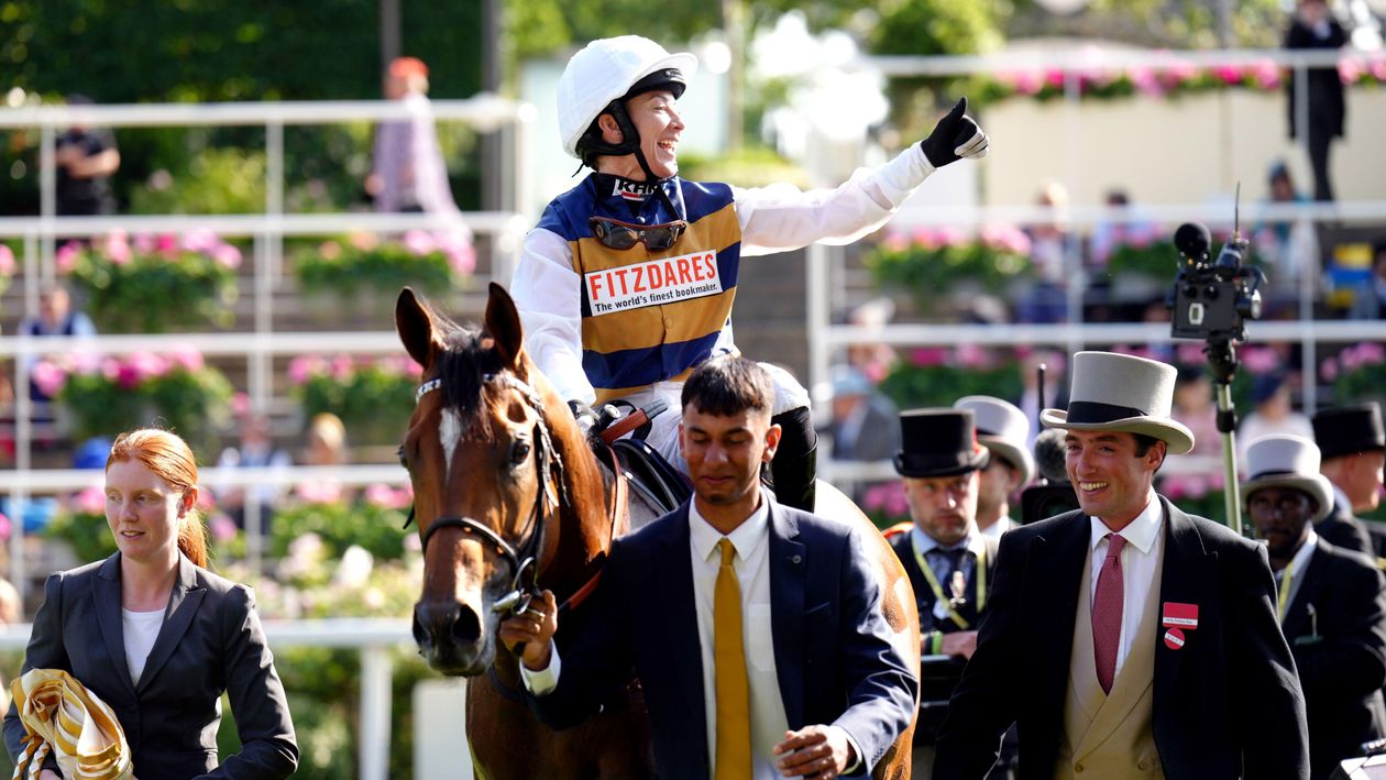 Horses to follow: Trackside Live team with horses for your tracker from ...