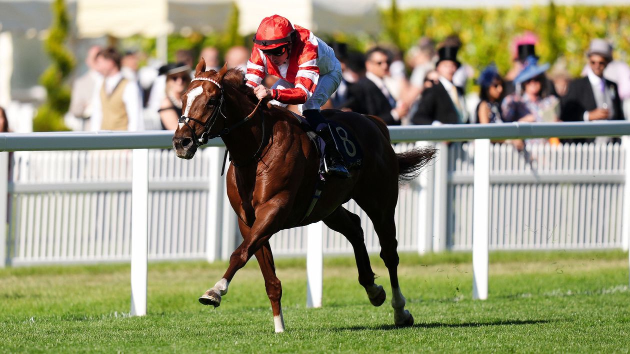 Harry Charlton on Cosmic Year and Hand Of God