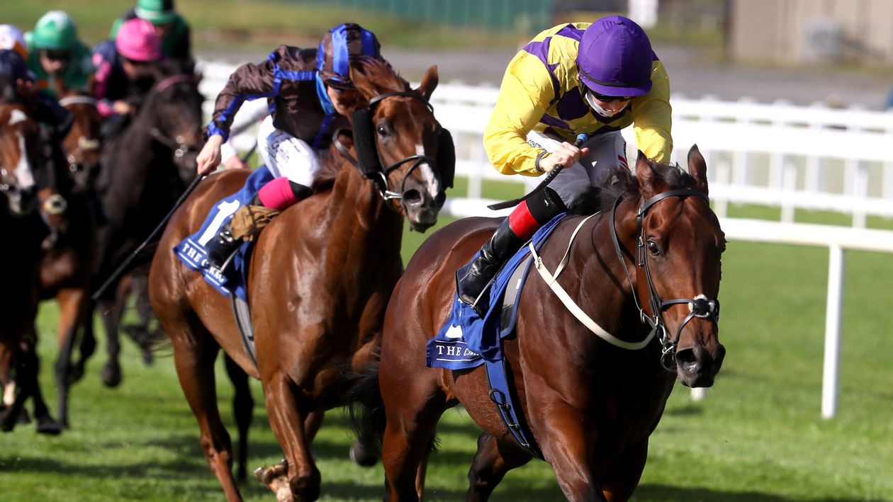 Colin Keane sets new record for winners in a season in Ireland