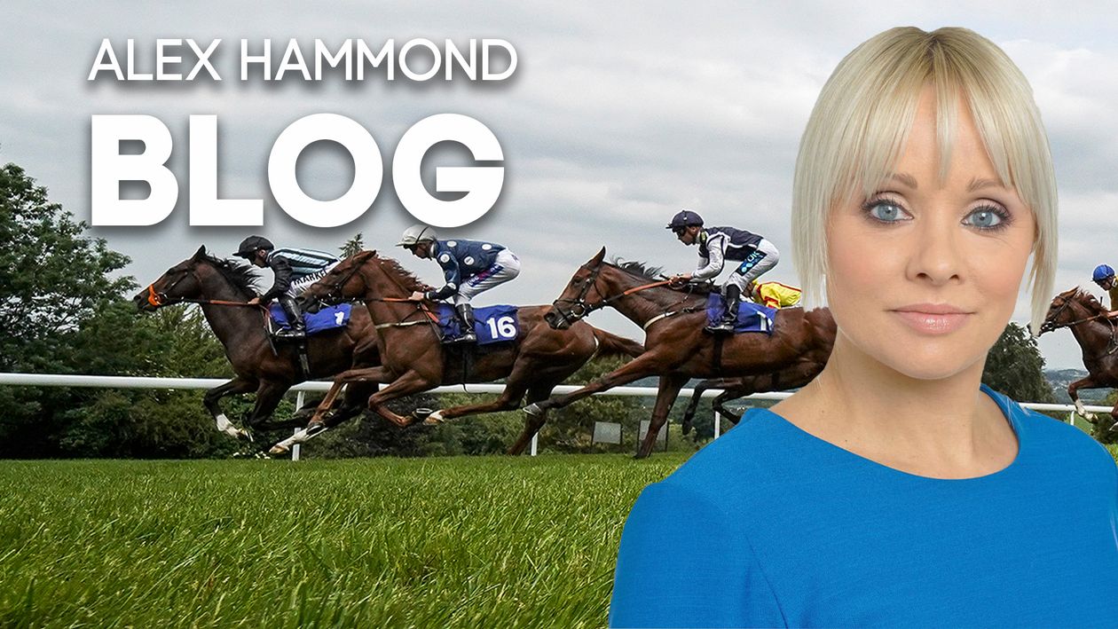 Alex Hammond Blog: Lincoln preview and a horse to follow for the 2019 ...