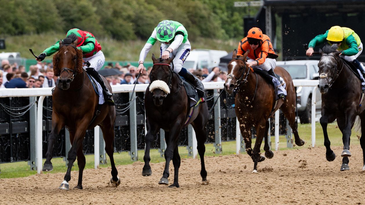 Diligent Harry blasts to Chipchase success under Saffie Osborne