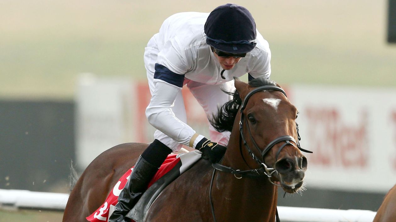 Review of the action from Saturday's meeting at Lingfield