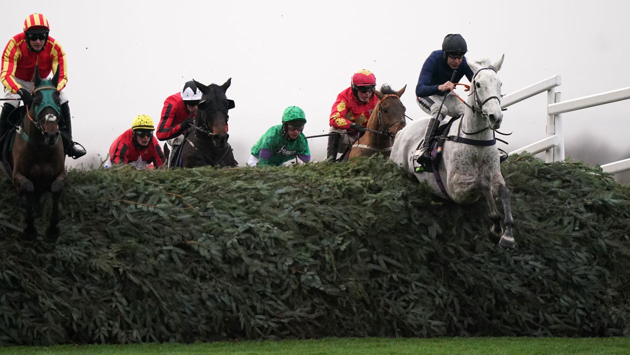 Popular mare Snow Leopardess retired to stud