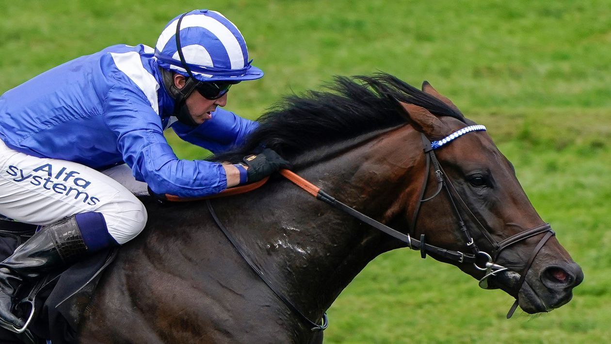 Prix du Moulin reaction: Baaeed still has way to go to beat Palace Pier ...