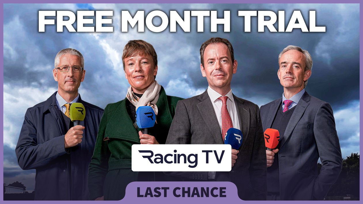 Free month trial: Watch every Dublin Racing Festival race live only on ...