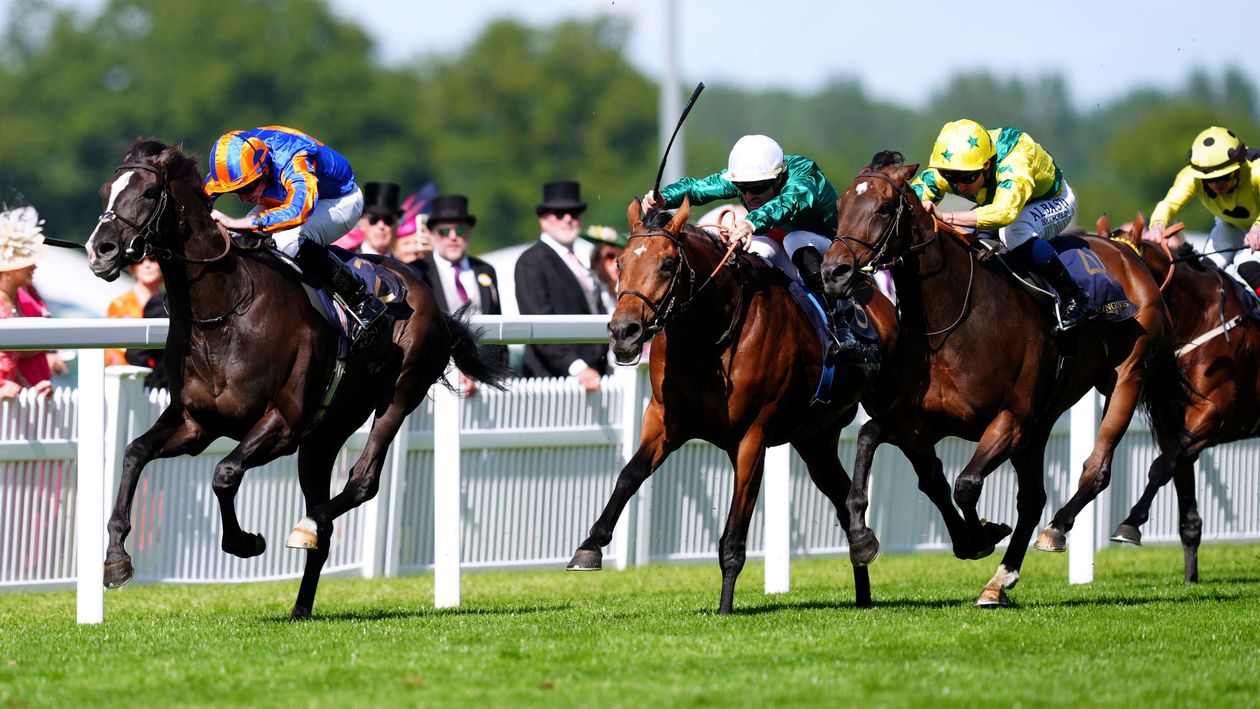 Auguste Rodin ‘in good condition’ after Japan Cup gallop