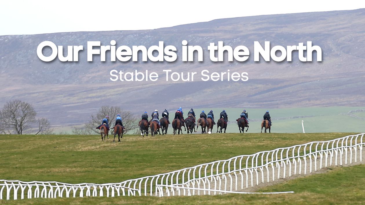 Our Friends in the North: Series of stable tours for 2020 including ...