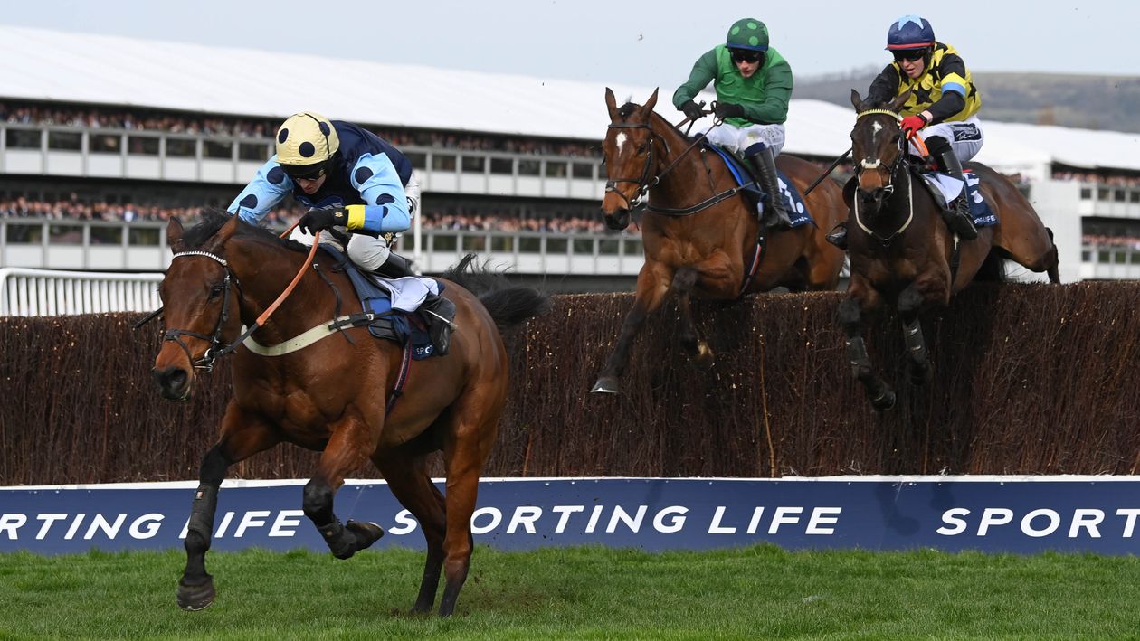 Shishkin and Edwardstone stand Tingle Creek ground at Sandown