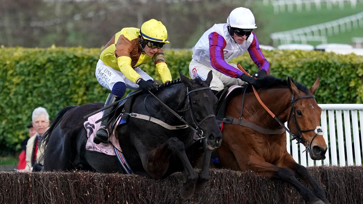 John Dance ‘incredibly proud’ of Bravemansgame’s Cheltenham defeat