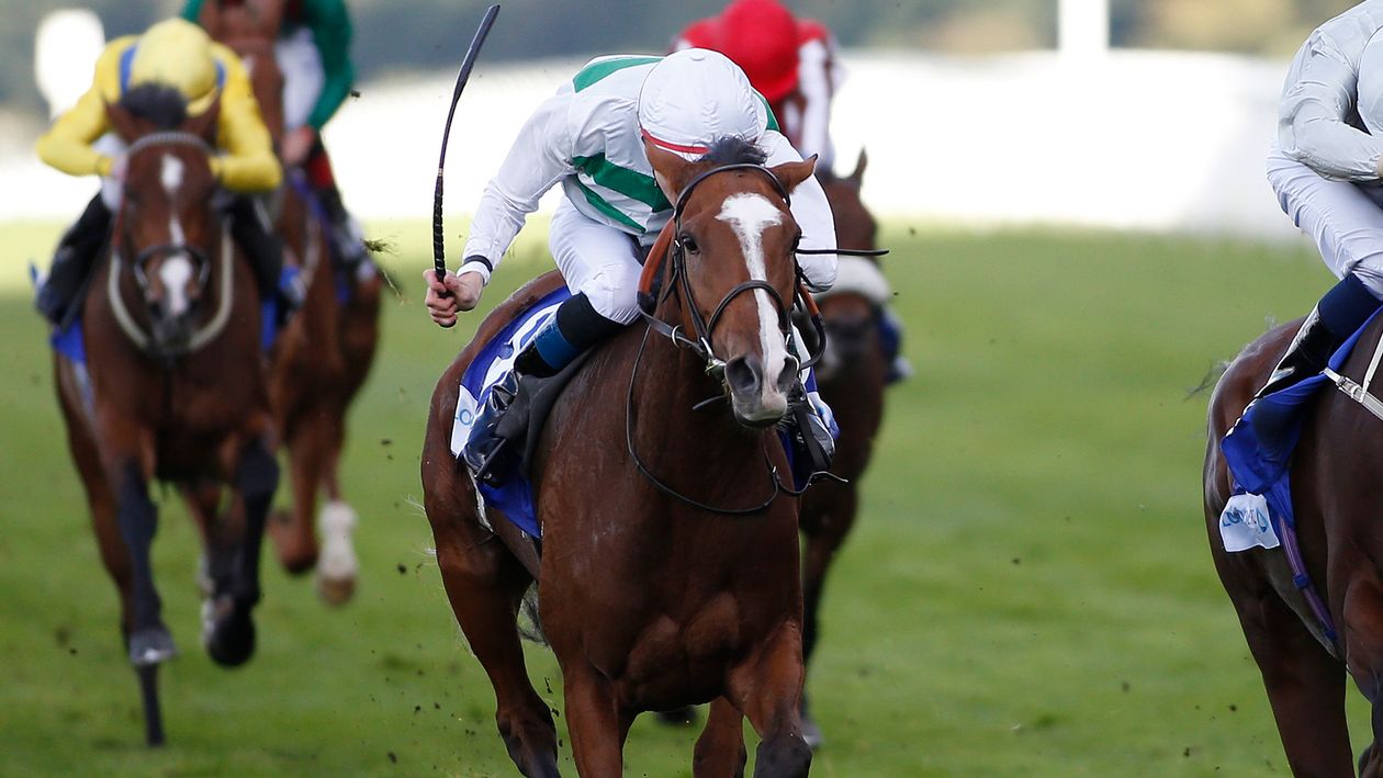 Fran Berry Column: Alyssa ready for York return