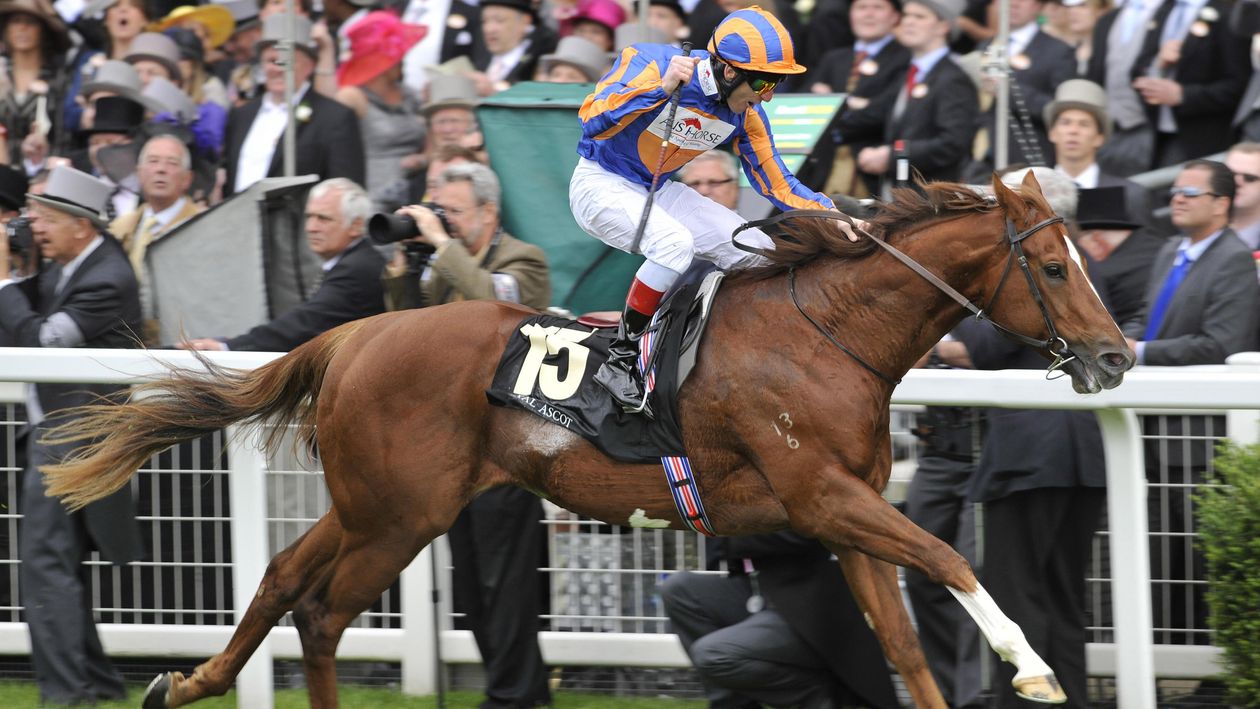 Is Aidan O'Brien's Australian sprinter Storm Boy the new ...