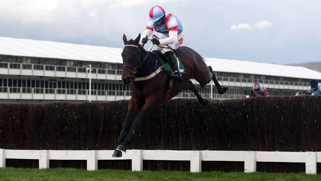 National Hunt season: Harry Whittington horses to follow