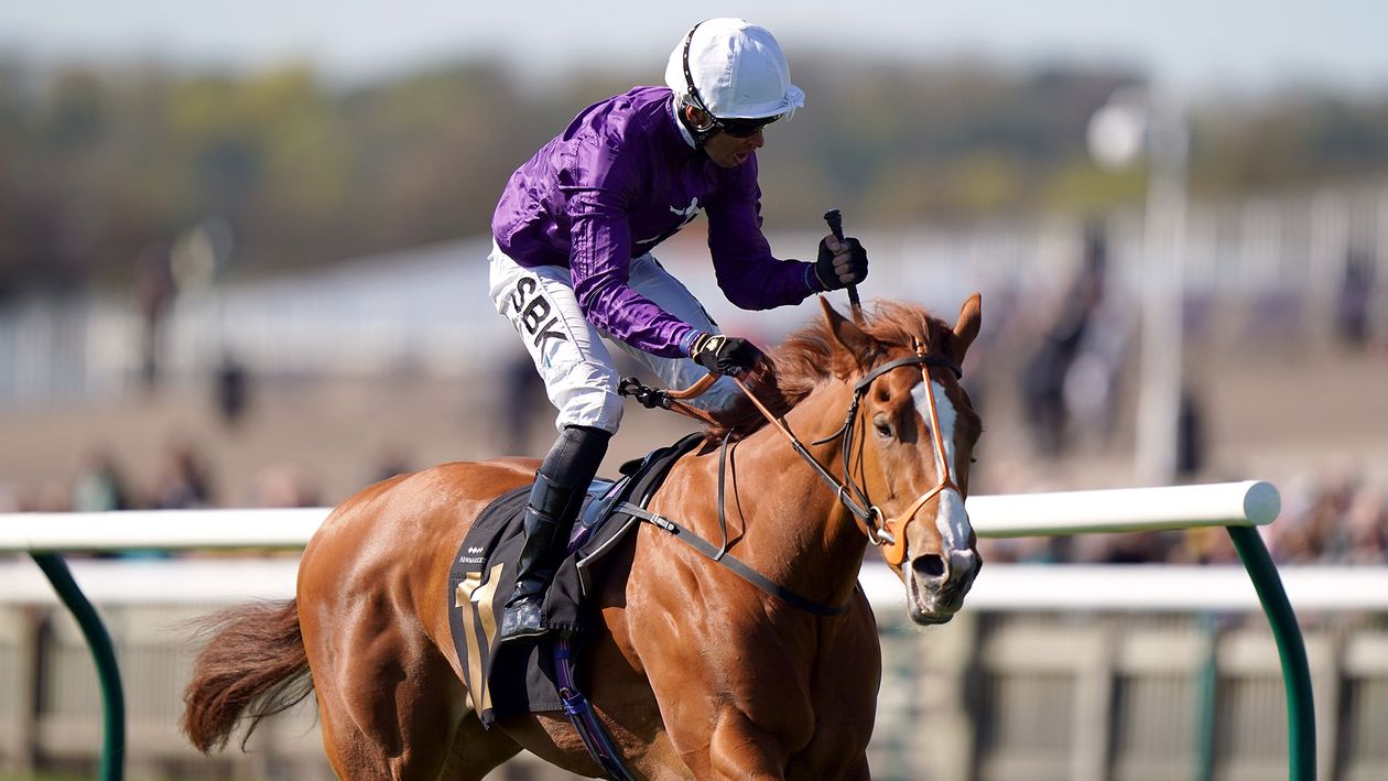 Classic trials: David Ord on the highs and lows of Newmarket and Newbury