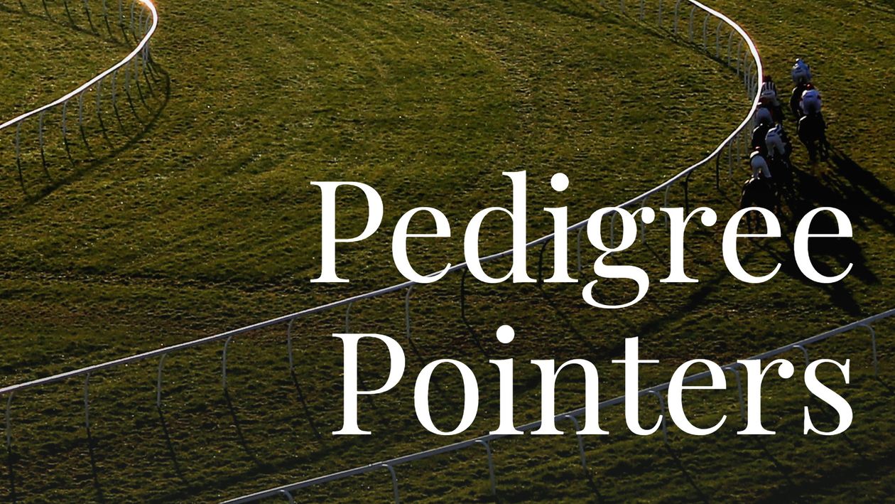 Pedigree Pointers: Cassie Tully with four National Hunt stallions to ...