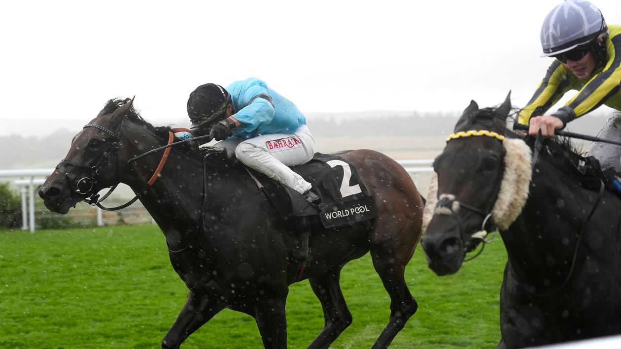 HKJC World Pool Gordon Stakes: Merchant lands thriller