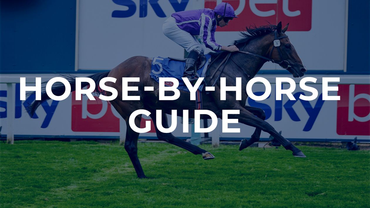 St Leger horse-by-horse preview: Guide to the potential runners at ...