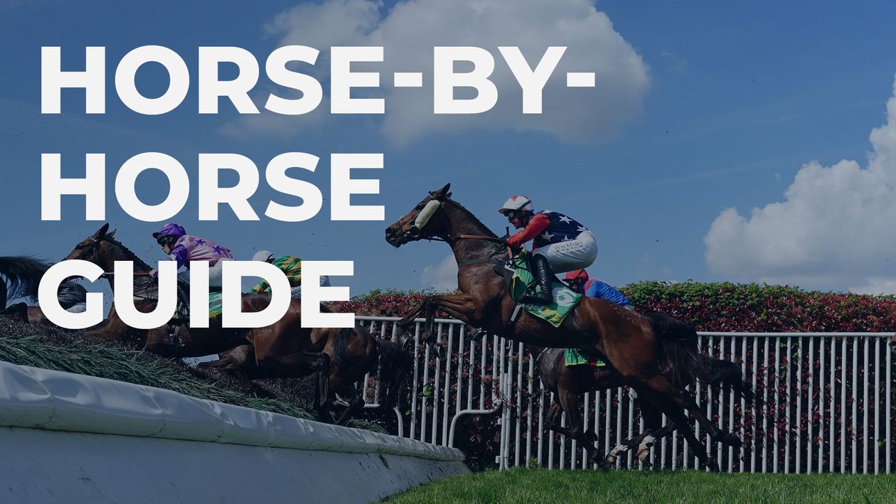 bet365 Gold Cup preview & tips: Horse-by-horse guide to Sandown feature ...