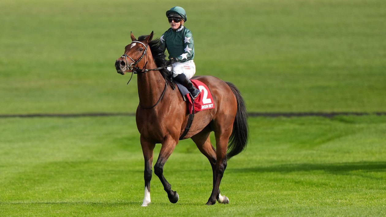 Nashwa looks set for retirement