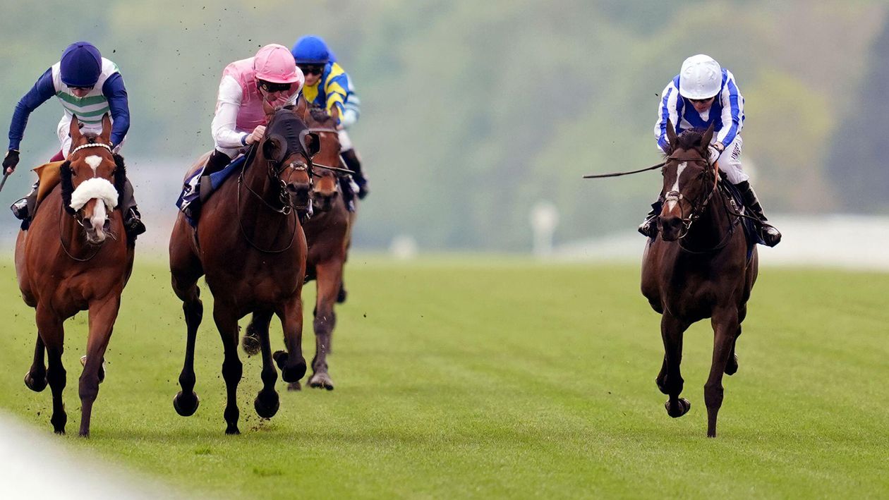 French trip planned to put Caius Chorister on song for Gold Cup