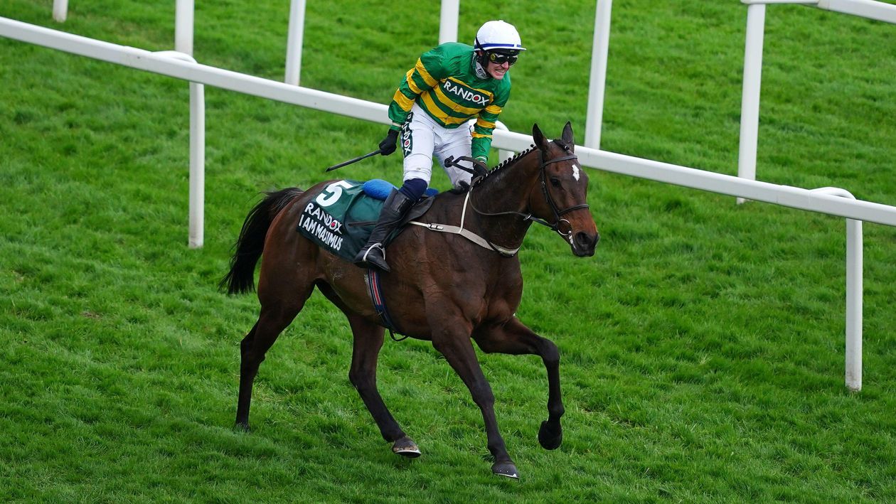 Henrietta Knight backing I Am Maximus for Gold Cup glory