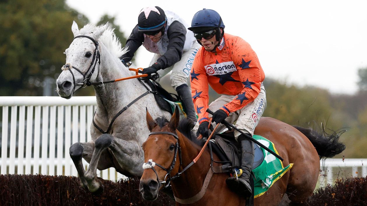 Gold Cup Tips: Runner-by-runner guide