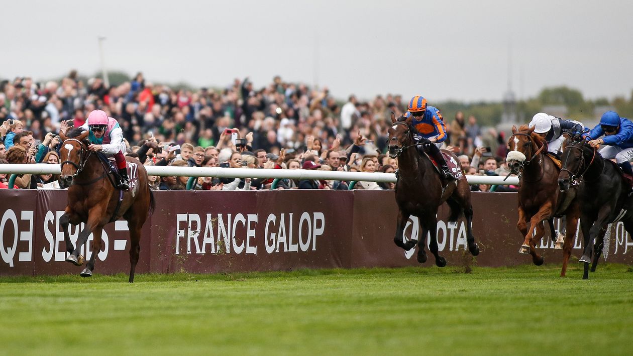 Timeform's top-rated Prix de l'Arc de Triomphe winners this century ...