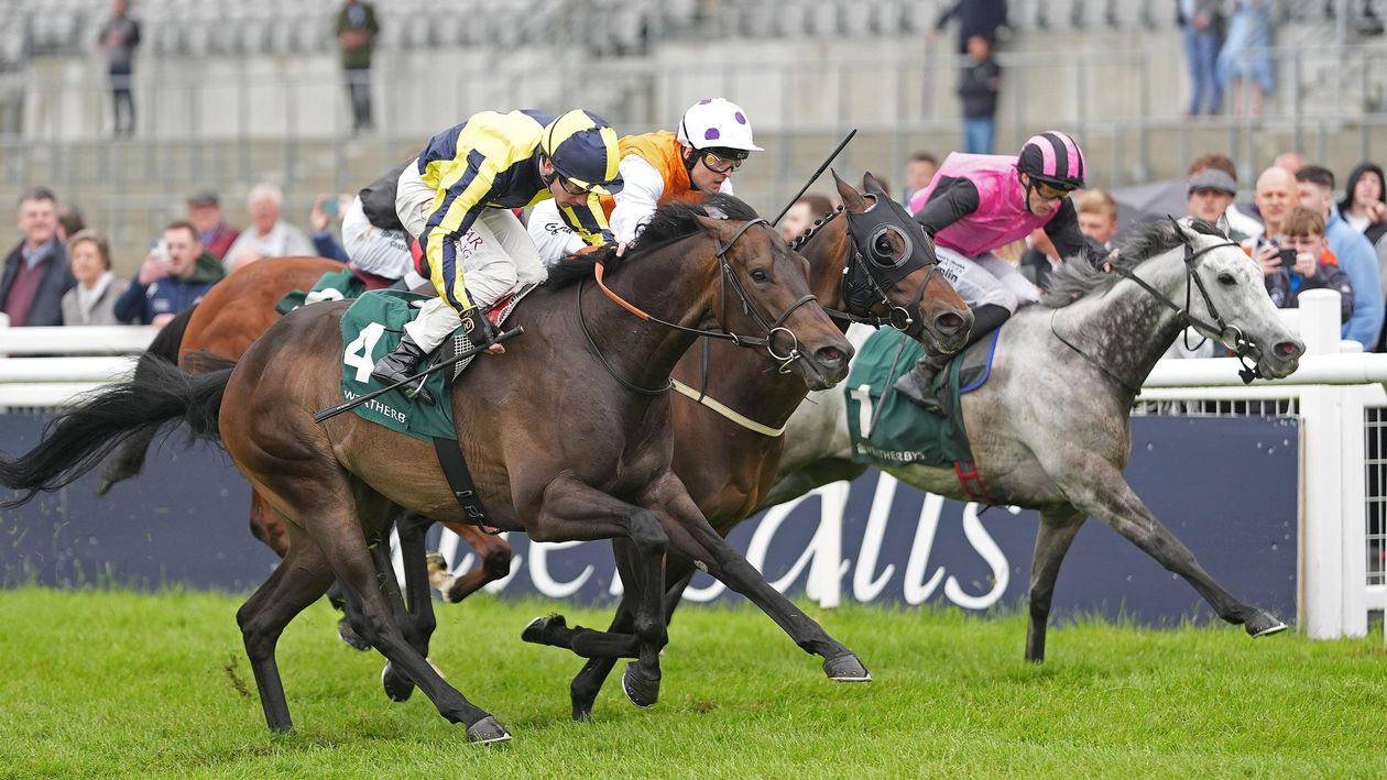 James's Delight wins Group 2 Weatherbys Ireland Greenlands Stakes at ...