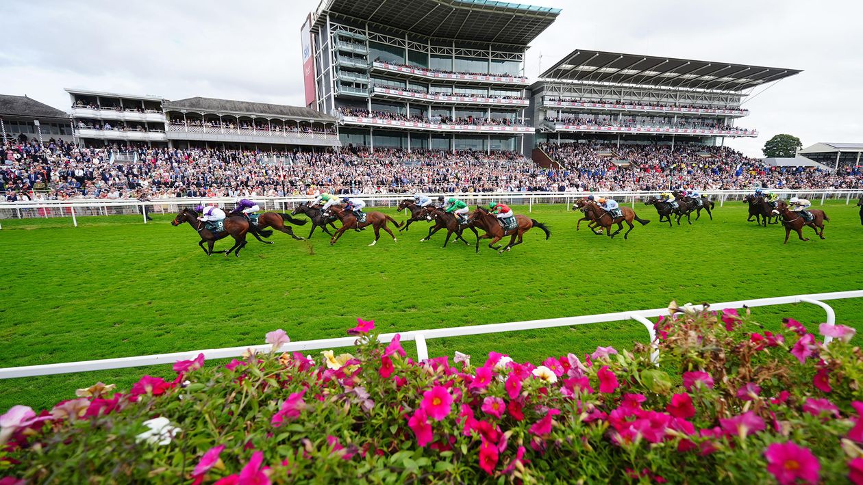 Clive Cox targeting more success in Harry's Half Million By Goffs at ...