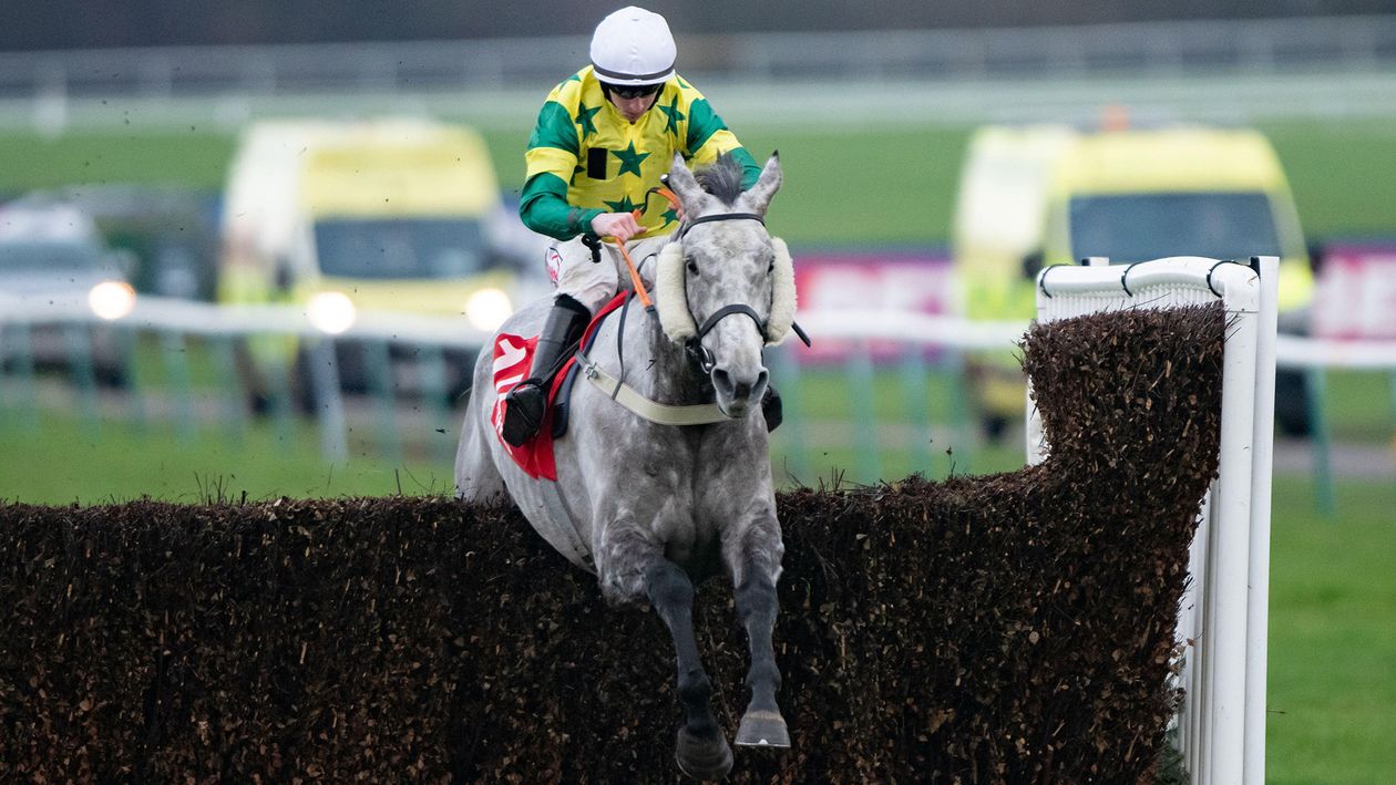 William Hill Half A Mill Grand National Trial stats and horse to follow
