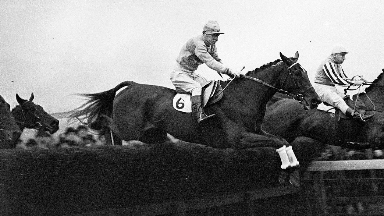 Grand National Great: Timeform celebrate Golden Miller