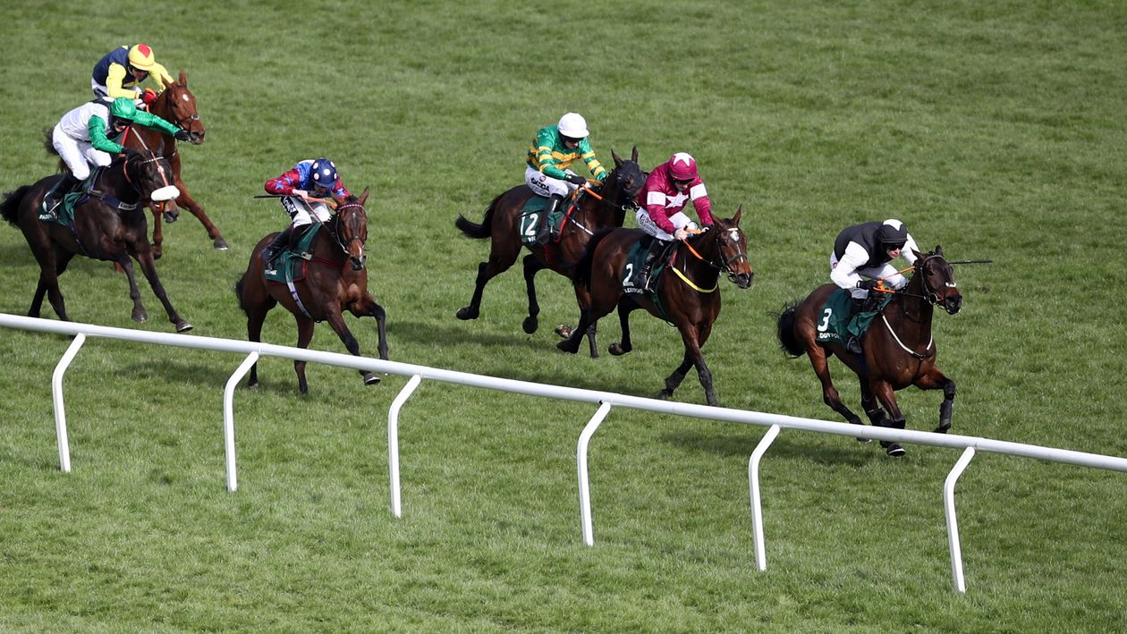 Analysis of the staying hurdle division ahead of Grade One Long Walk ...