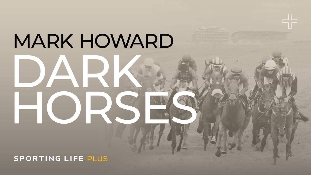 Mark Howard's dark horses to follow for the 2025 flat season | William ...