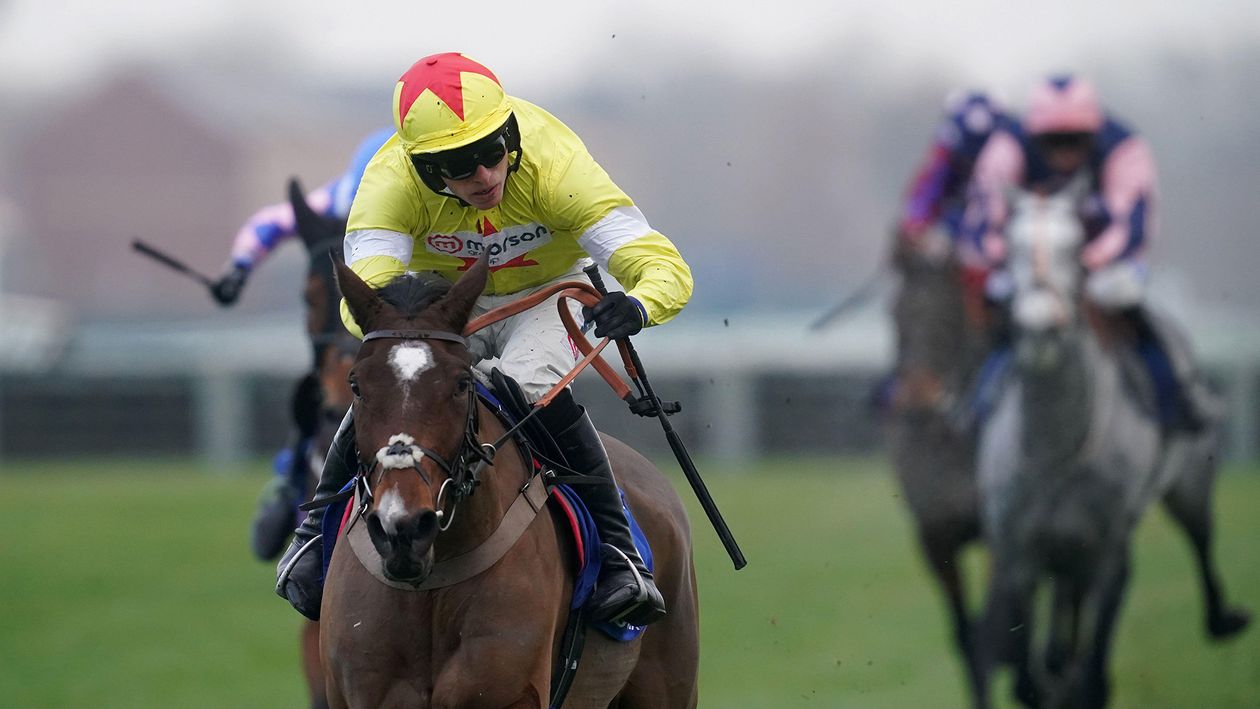 Virgin Bet Scilly Isles Novices' Chase preview and tips: Horse by horse ...