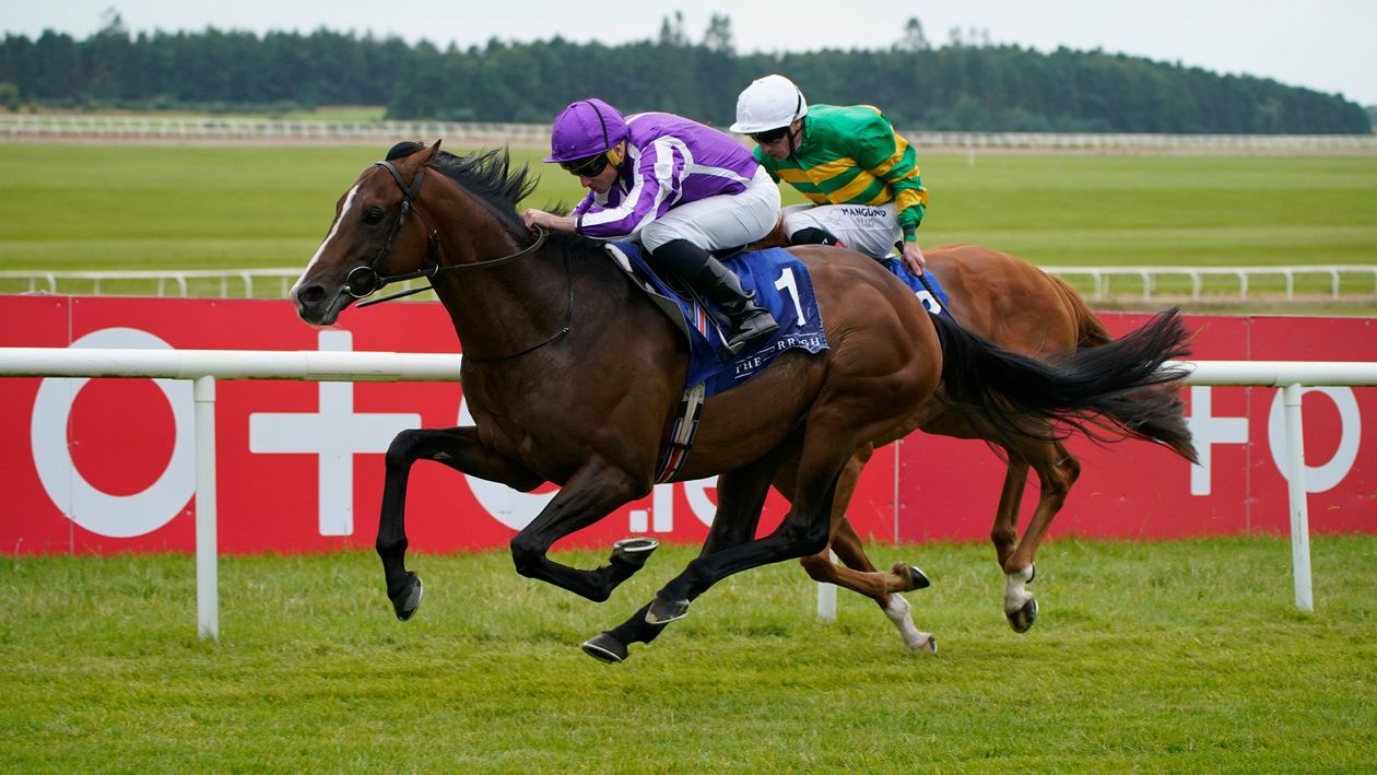 Continuous back to winning ways with Royal Whip strike